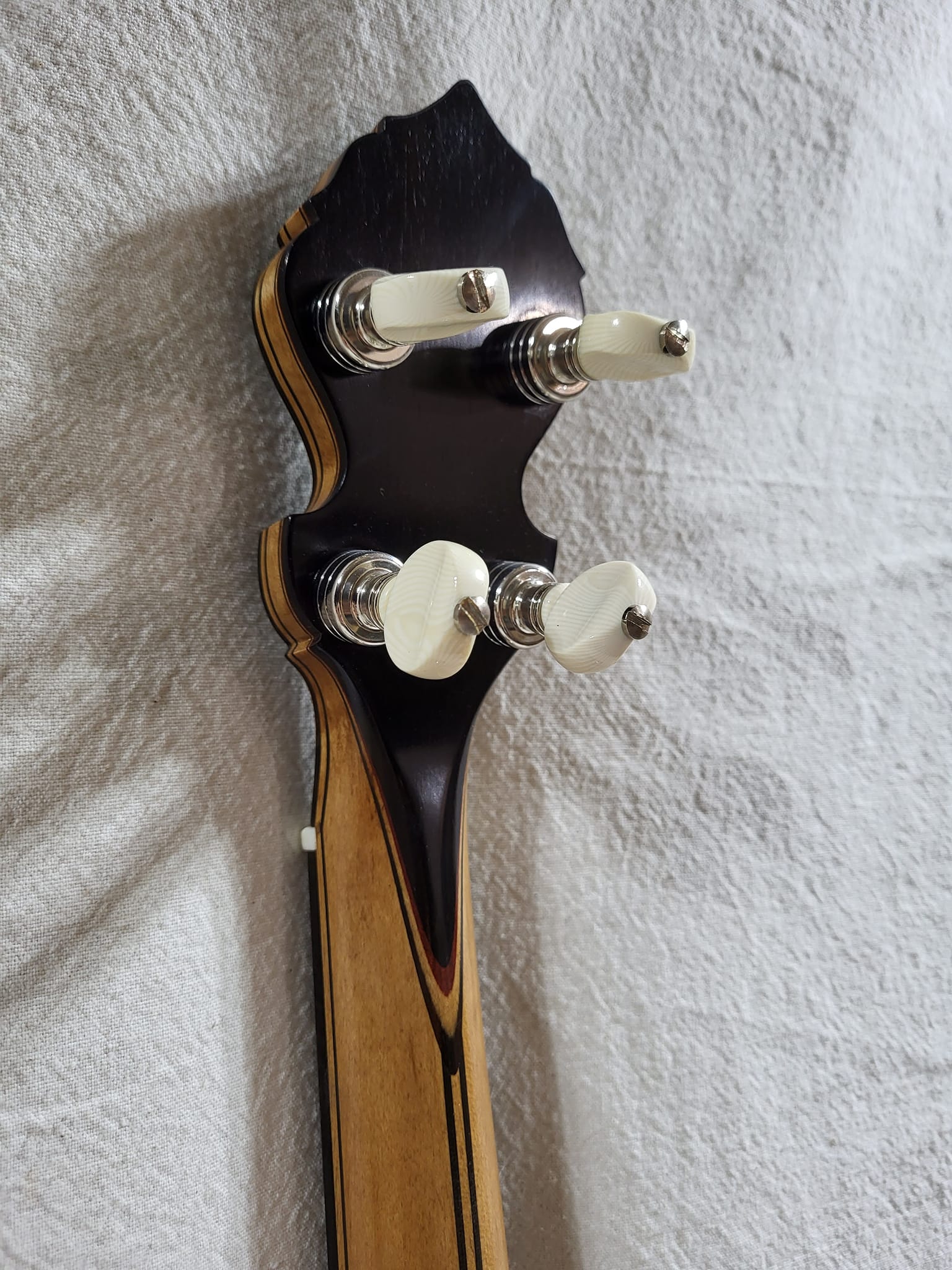 Second Life Banjo