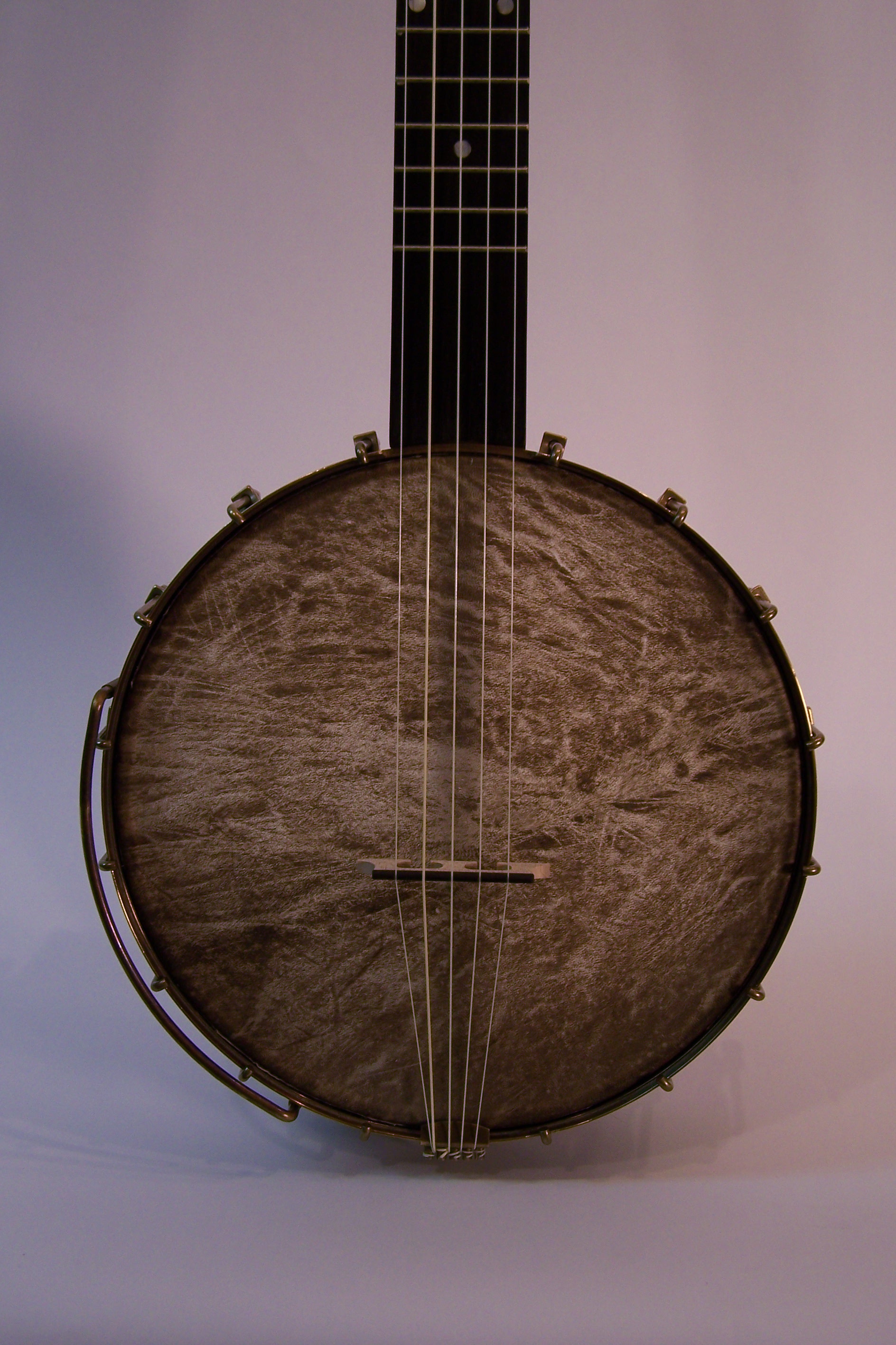 Second Life Banjo