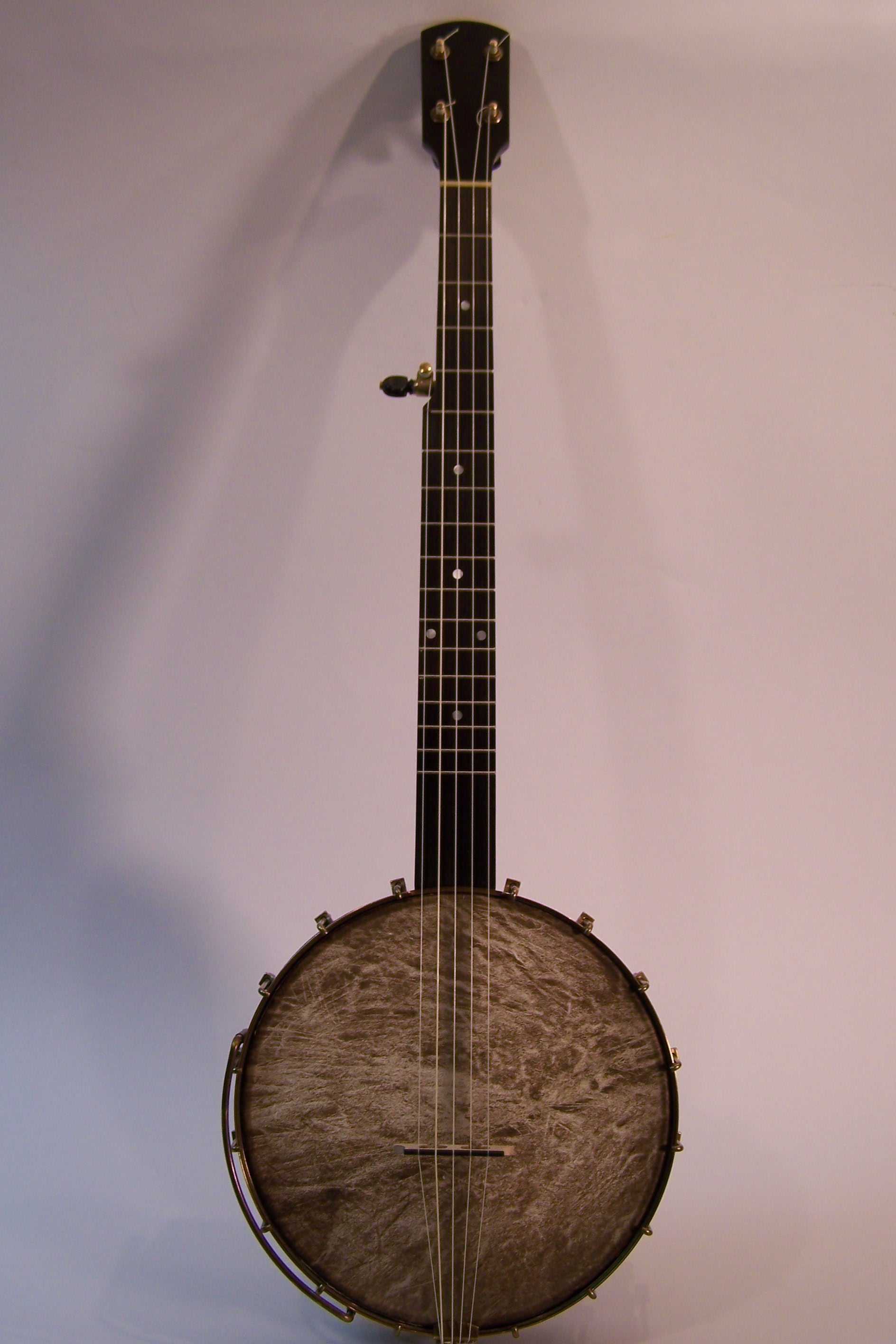 Second Life Banjo