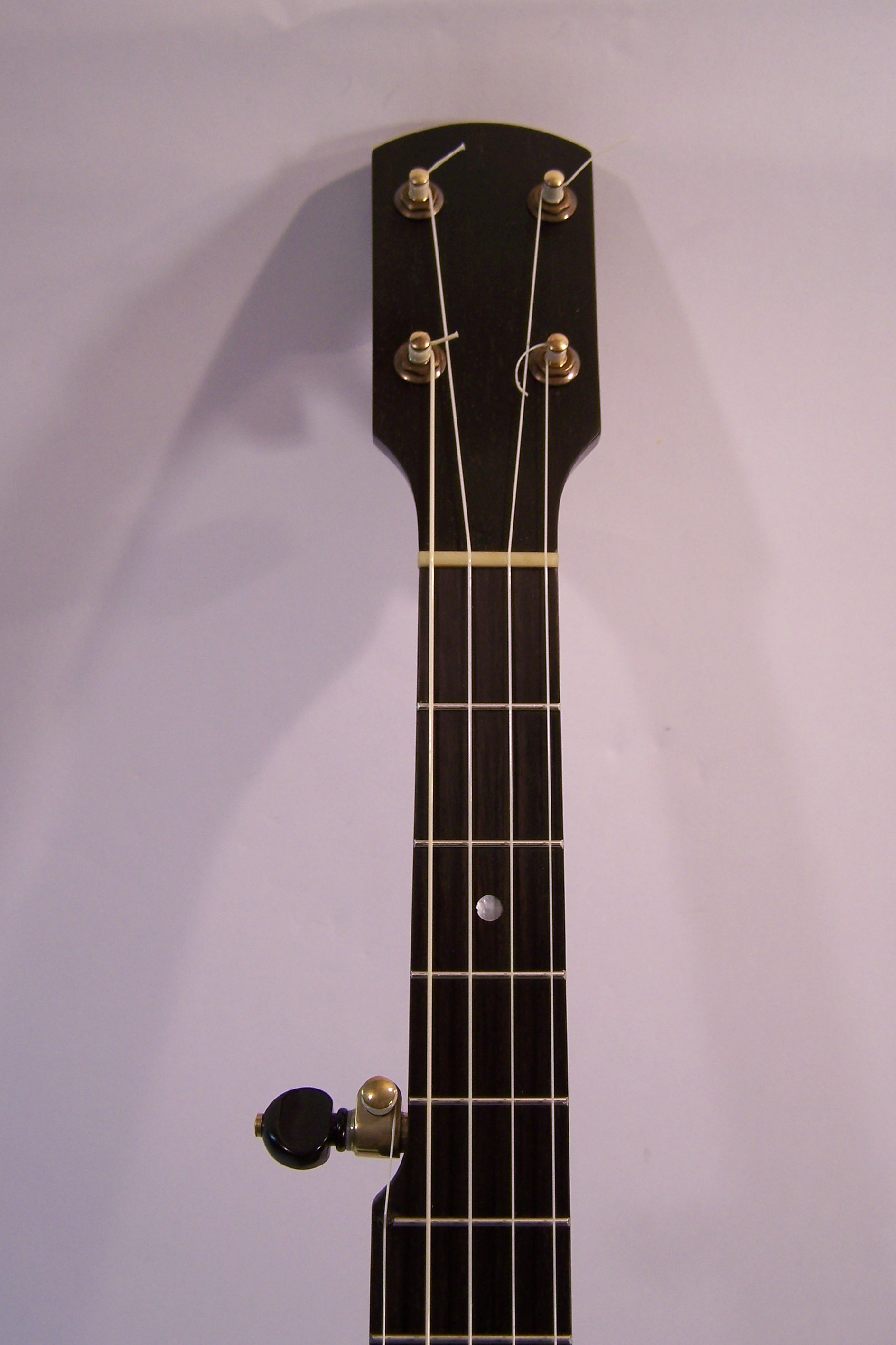 Second Life Banjo