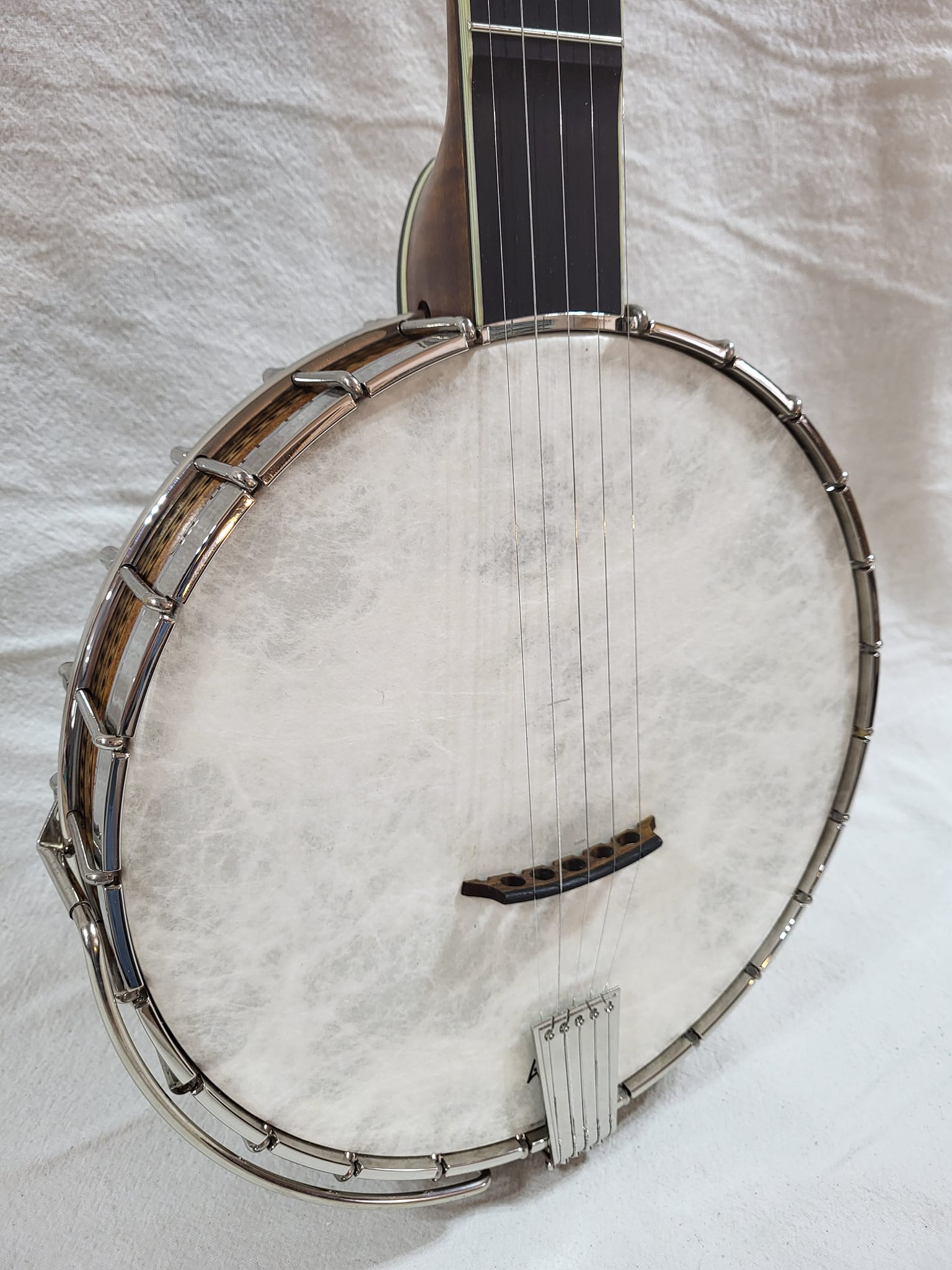 Second Life Banjo