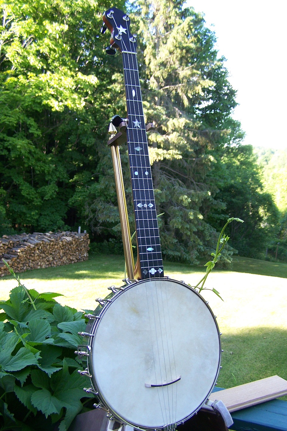 Second Life Banjo