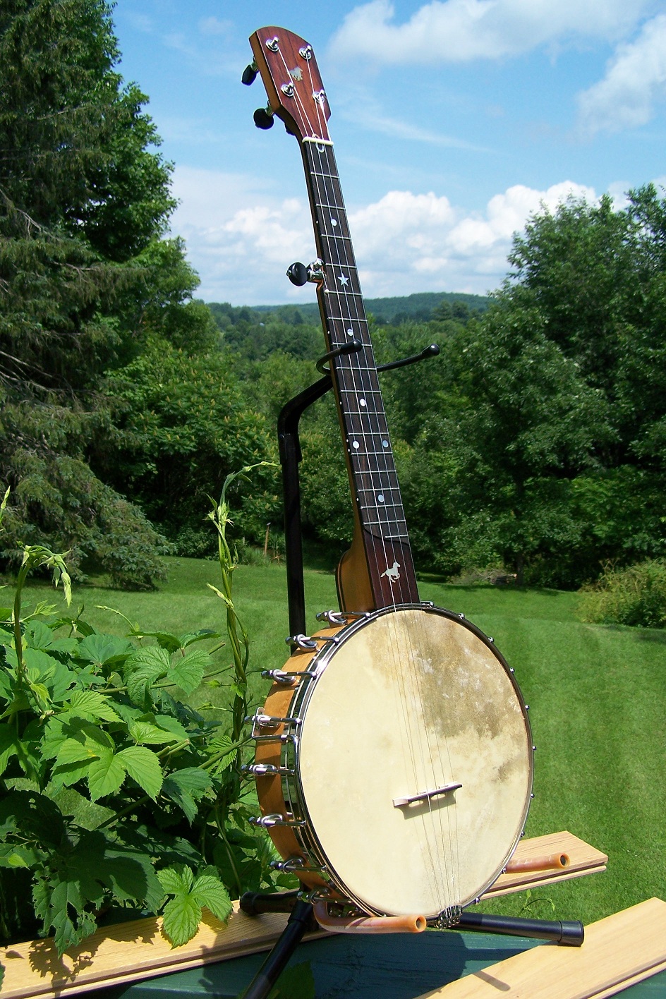 Second Life Banjo