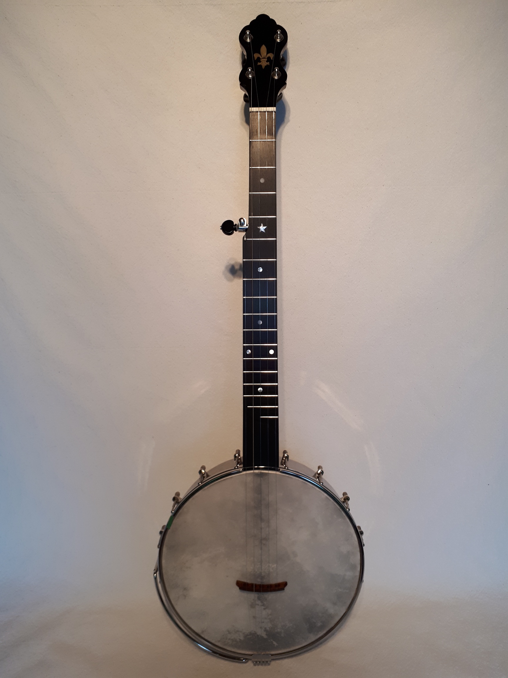 Second Life Banjo