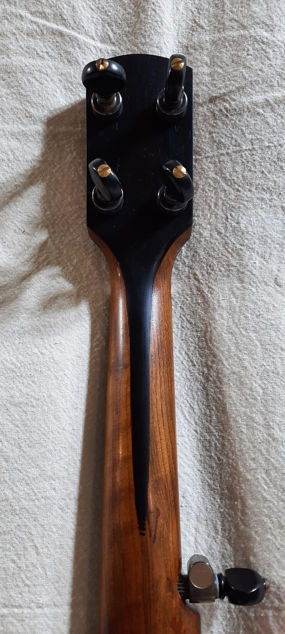Second Life Banjo