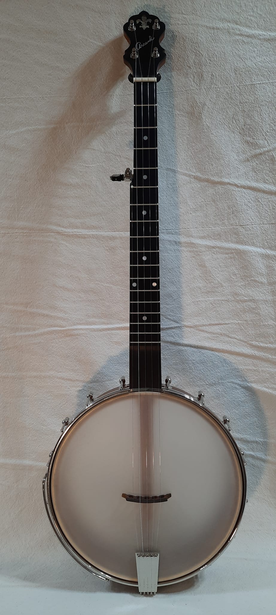 Second Life Banjo