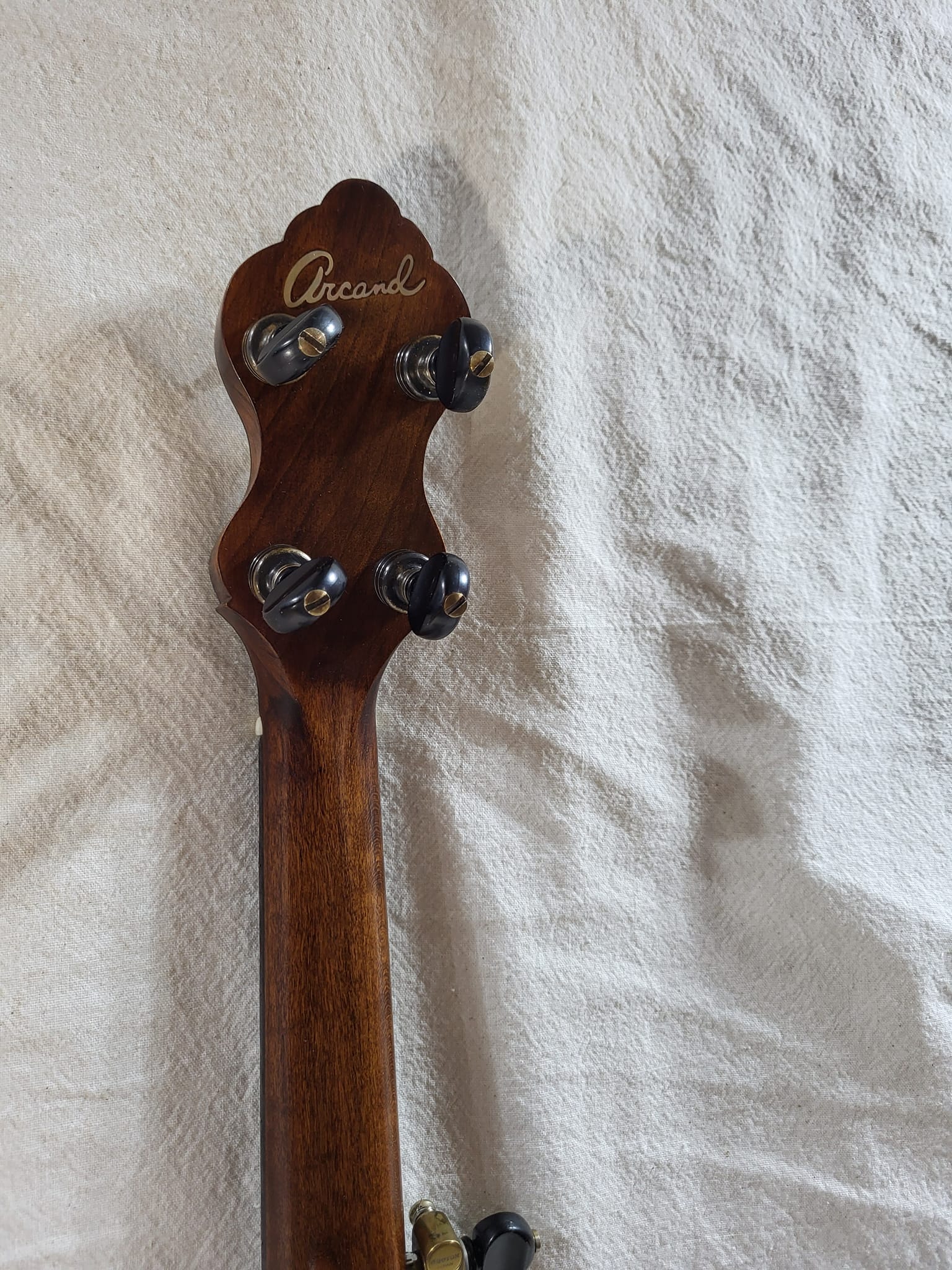 Second Life Banjo