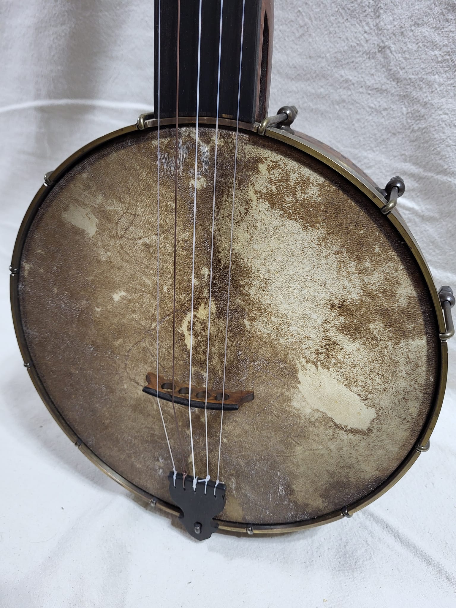 Second Life Banjo