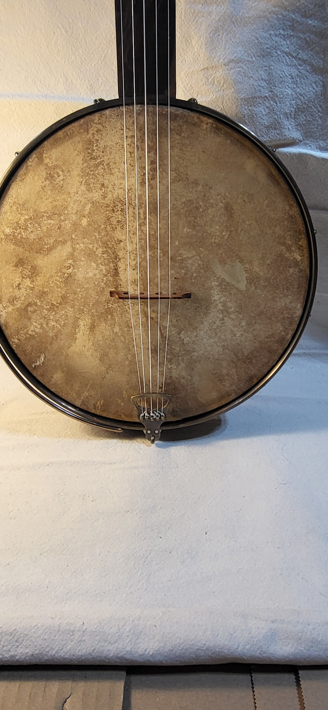 Second Life Banjo