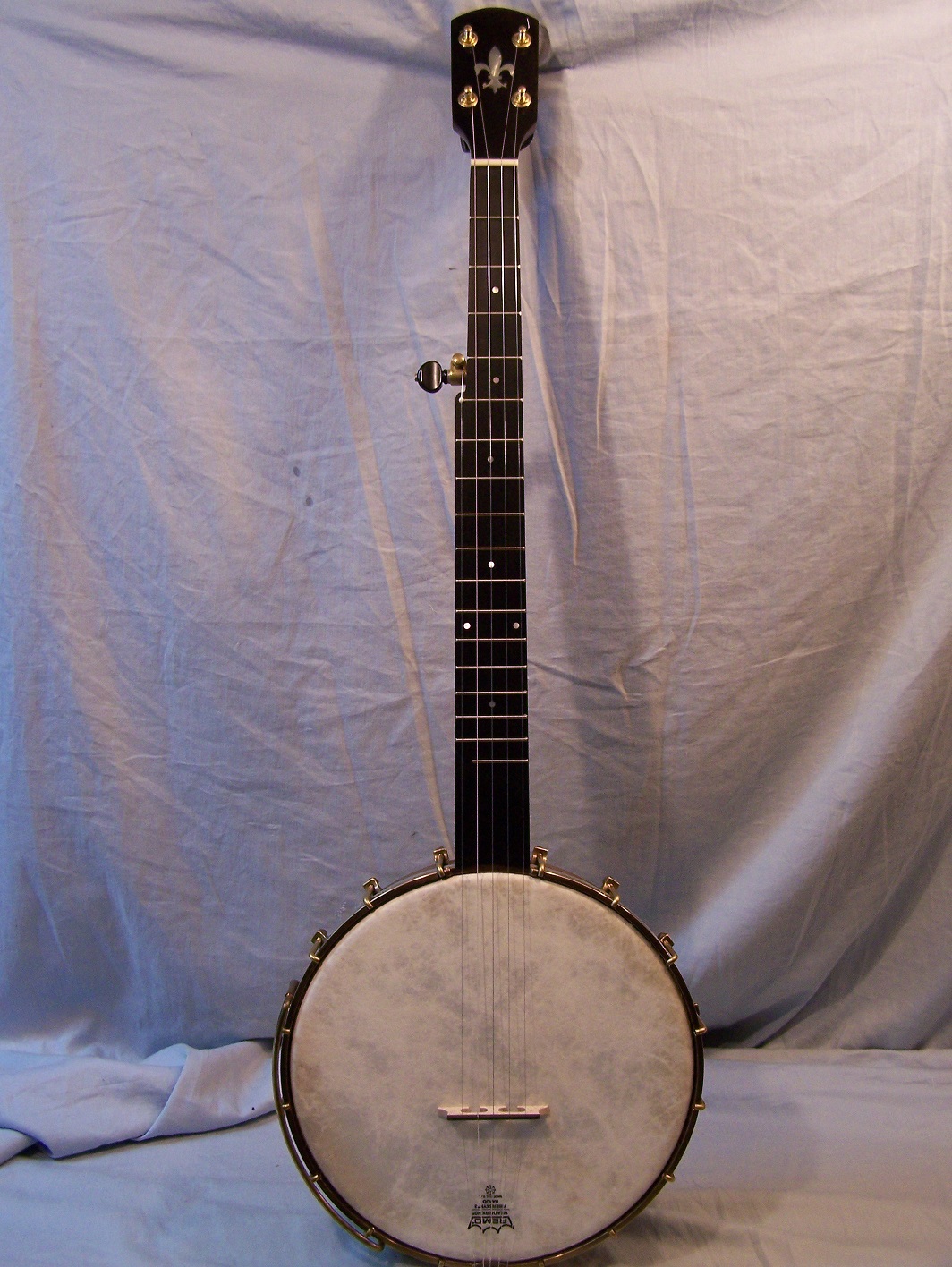 Second Life Banjo