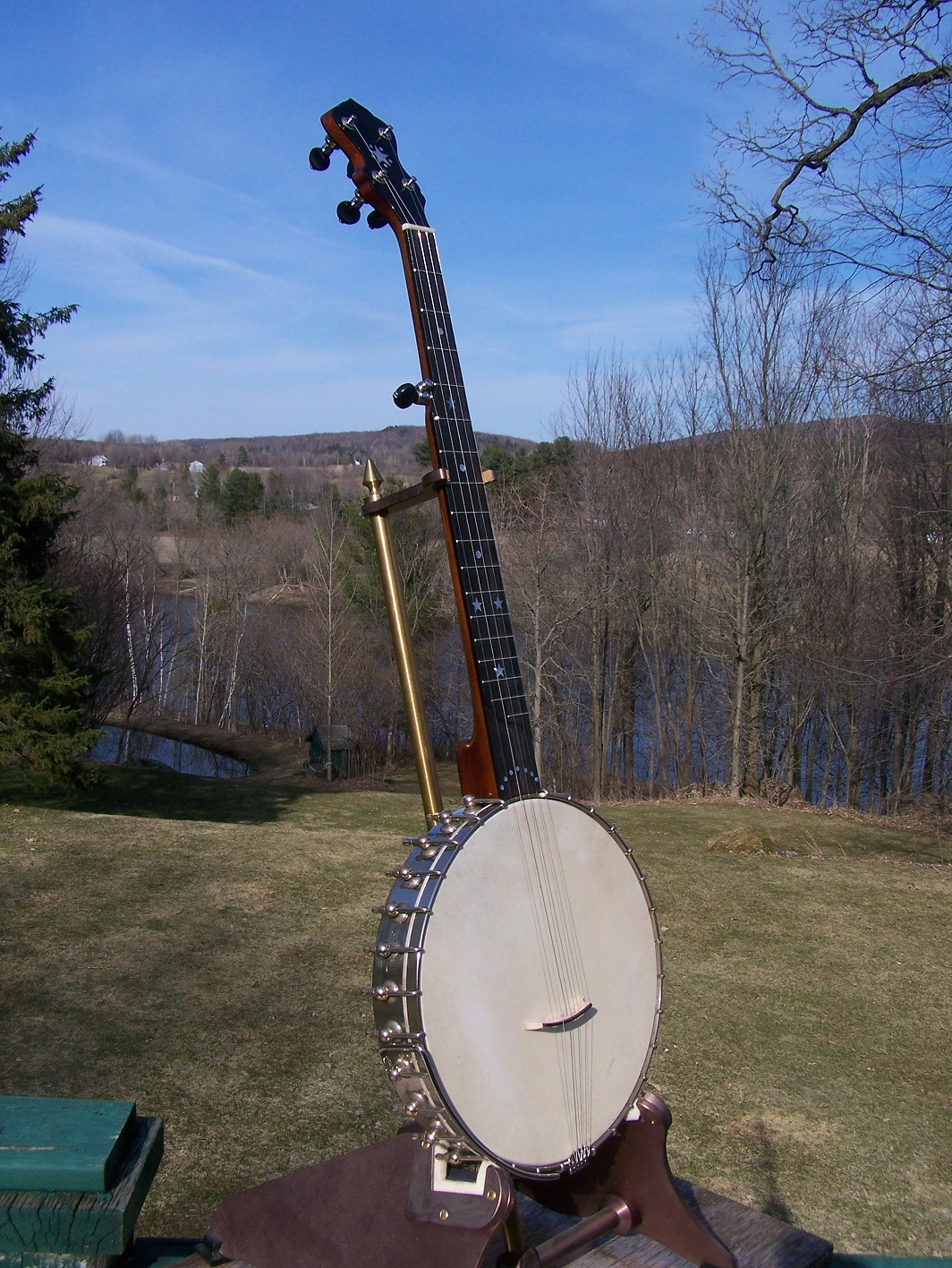 Second Life Banjo