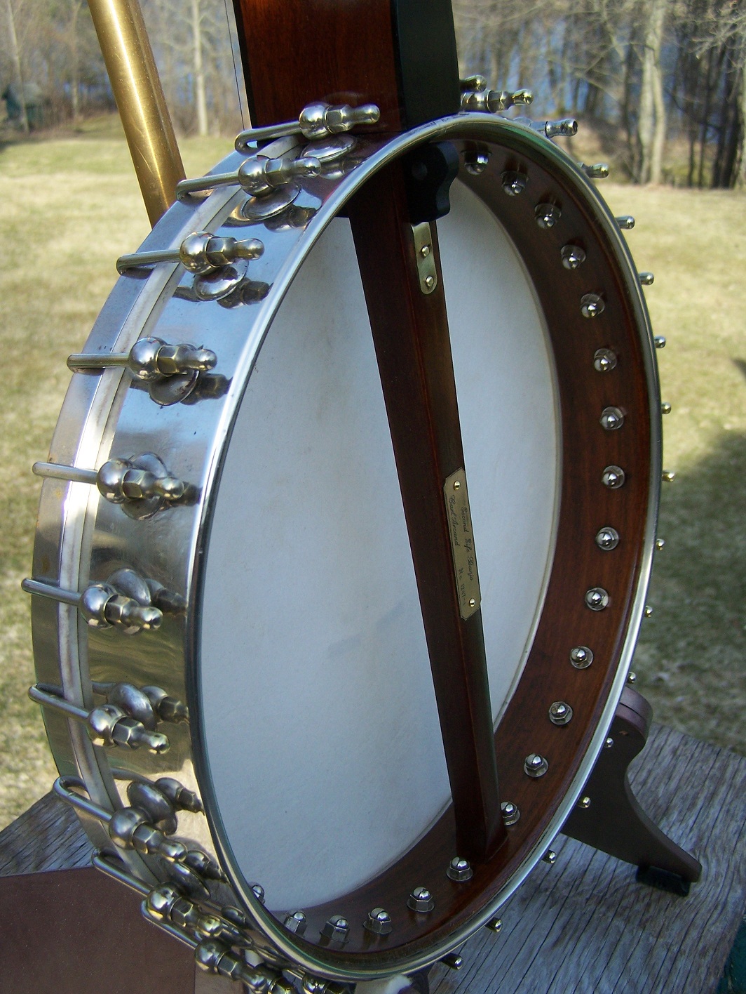 Second Life Banjo
